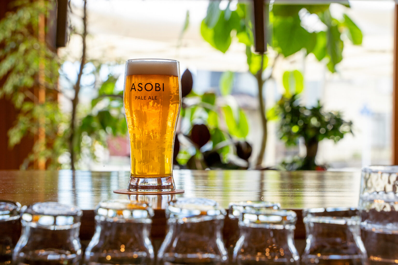 THE TANGO | 海の見える京都